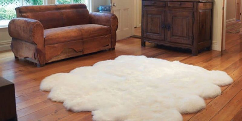 Luxury Designer Rugs Perth - Eagle Wools _ Fremantle - Perth