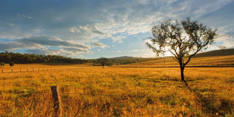 20 Australian Land And Nature Facts You Might Not Know Already - Eagle ...